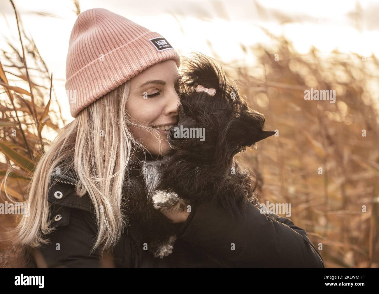 black Chinese Crested Powderpuff Stock Photo - Alamy