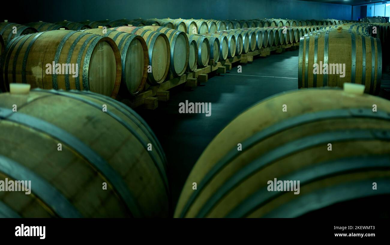 Wooden barrels in modern wine cellar. Wine making, winery Stock Photo ...