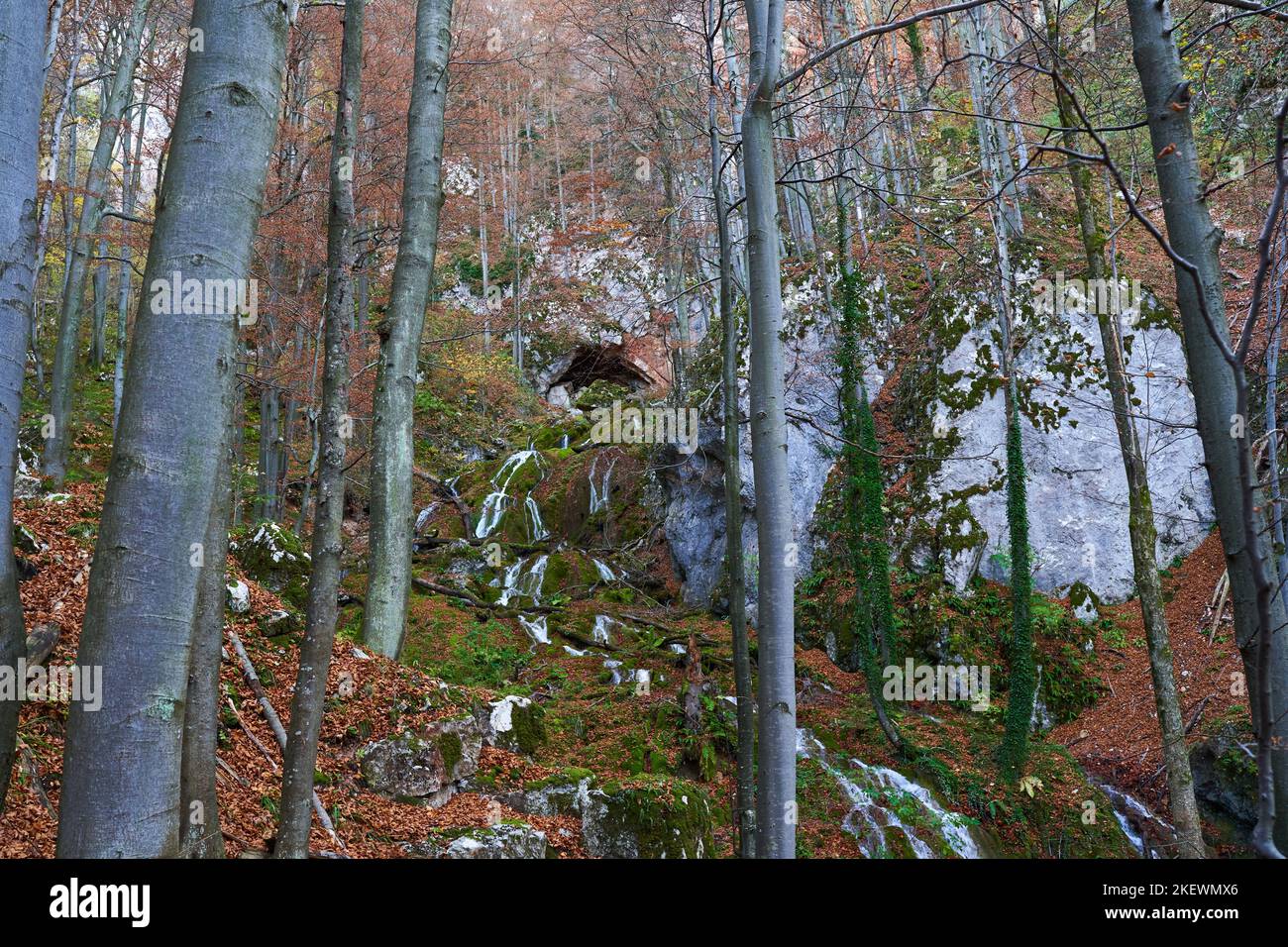 Waterfall in the afforested mountains in the late autumn Stock Photo ...