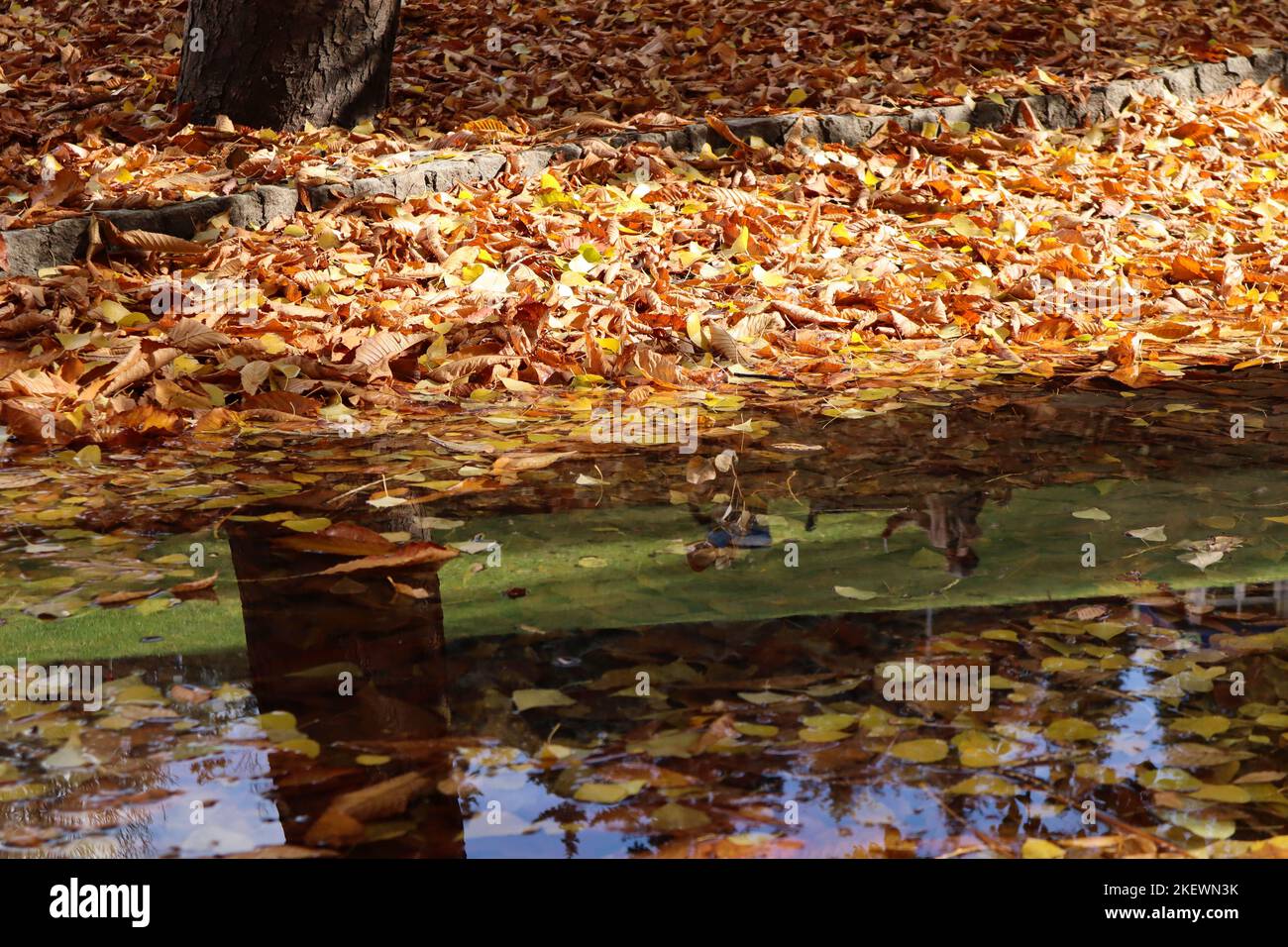 Golden water texture hi-res stock photography and images - Alamy