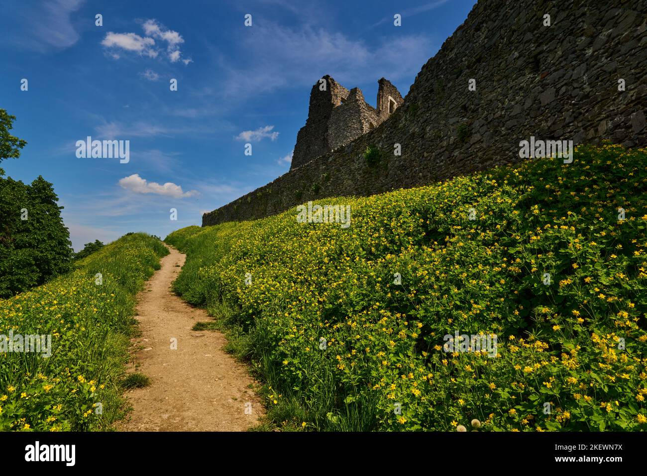 Hiking, outing destination in spring with field of flowers. . Castle of ...