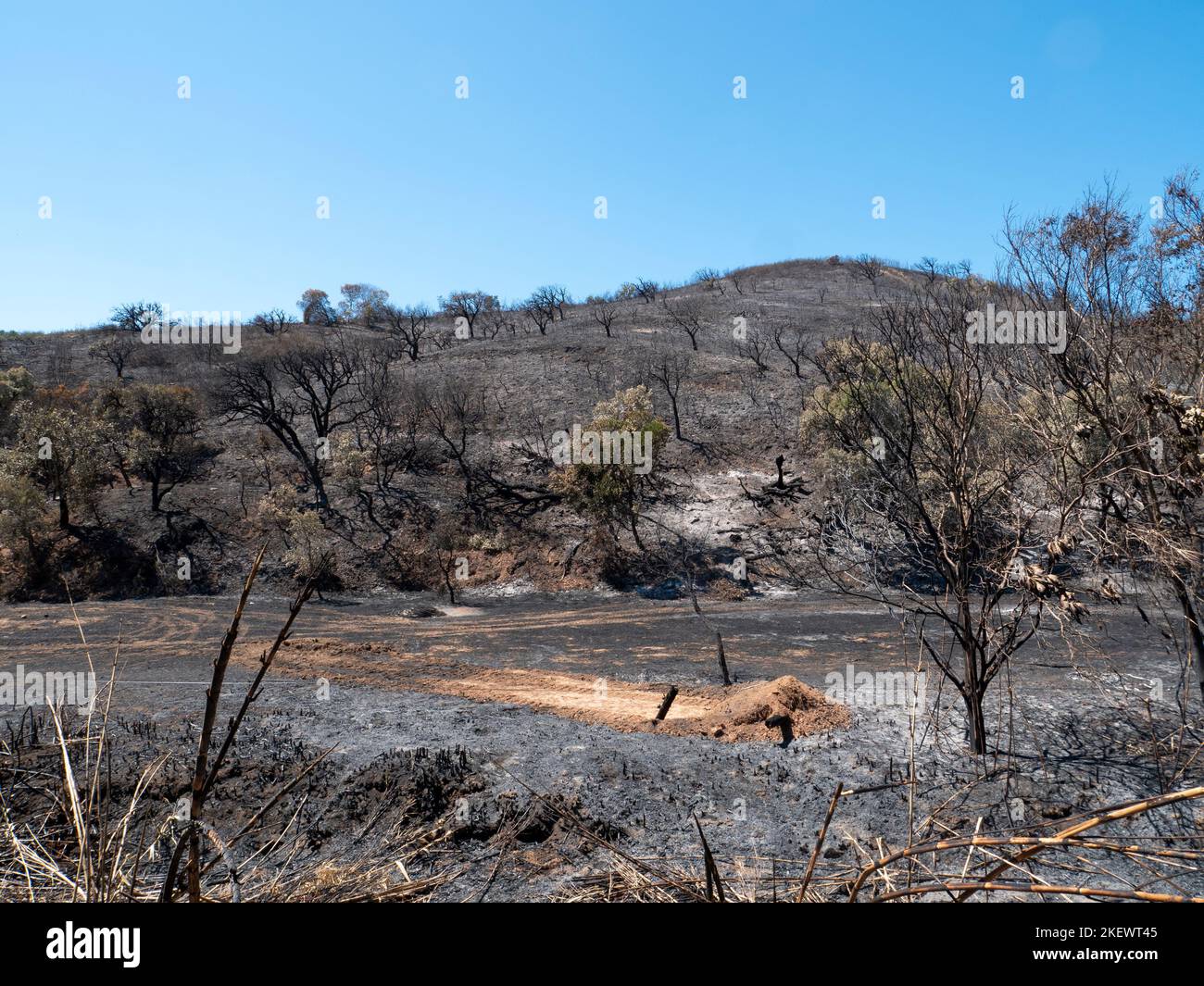 Fire scar hi-res stock photography and images - Alamy