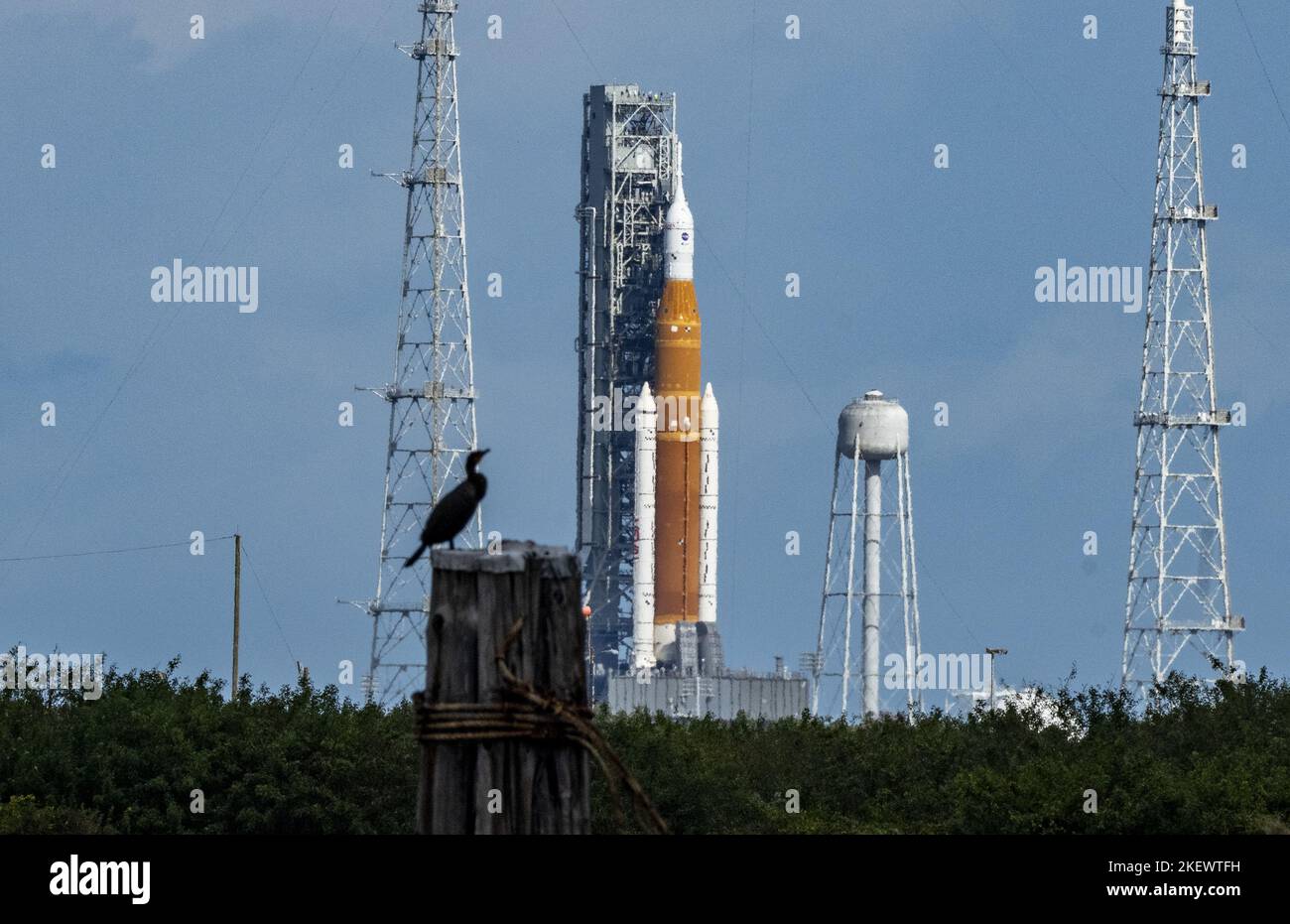 Lunar bird hi-res stock photography and images - Alamy