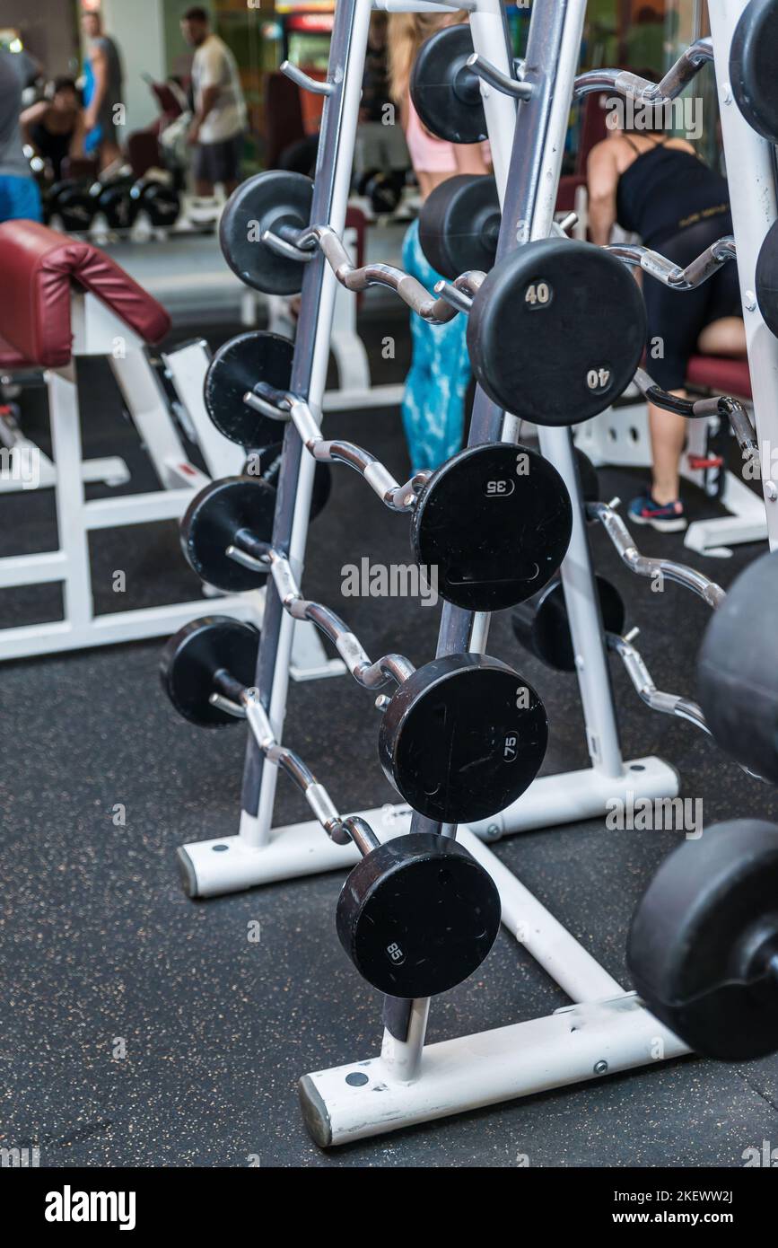 Modern Gym Room Fitness Center With Equipment And Machines. Interior of ...