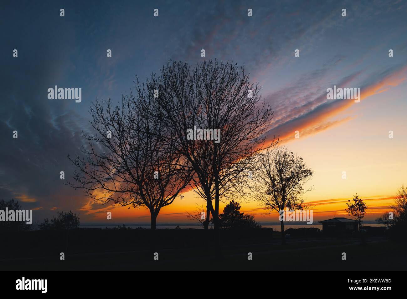 Strong diagonal hi-res stock photography and images - Alamy