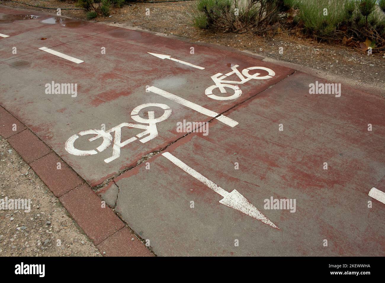 Red bike lane in the city of Madrid on an autumn day Stock Photo - Alamy