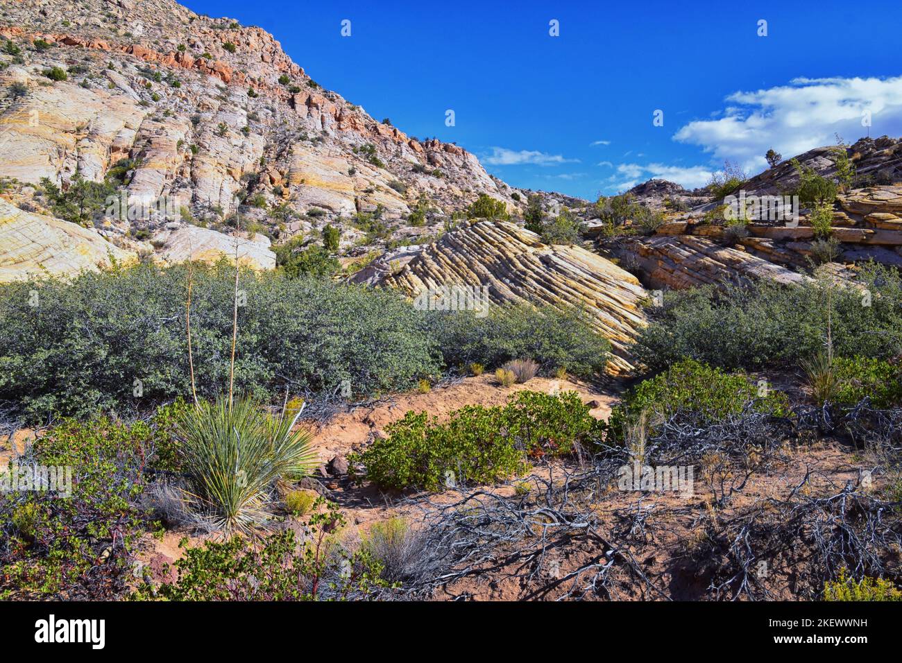 Snow Canyon Views from Jones Bones hiking trail St George Utah Zion’s ...