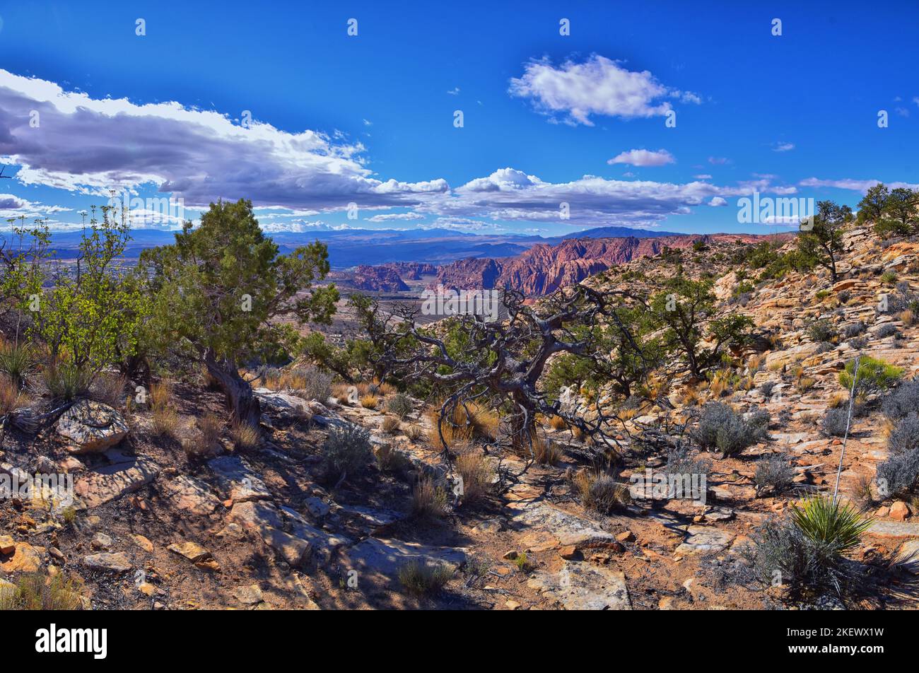 Snow Canyon Views from Jones Bones hiking trail St George Utah Zion’s ...
