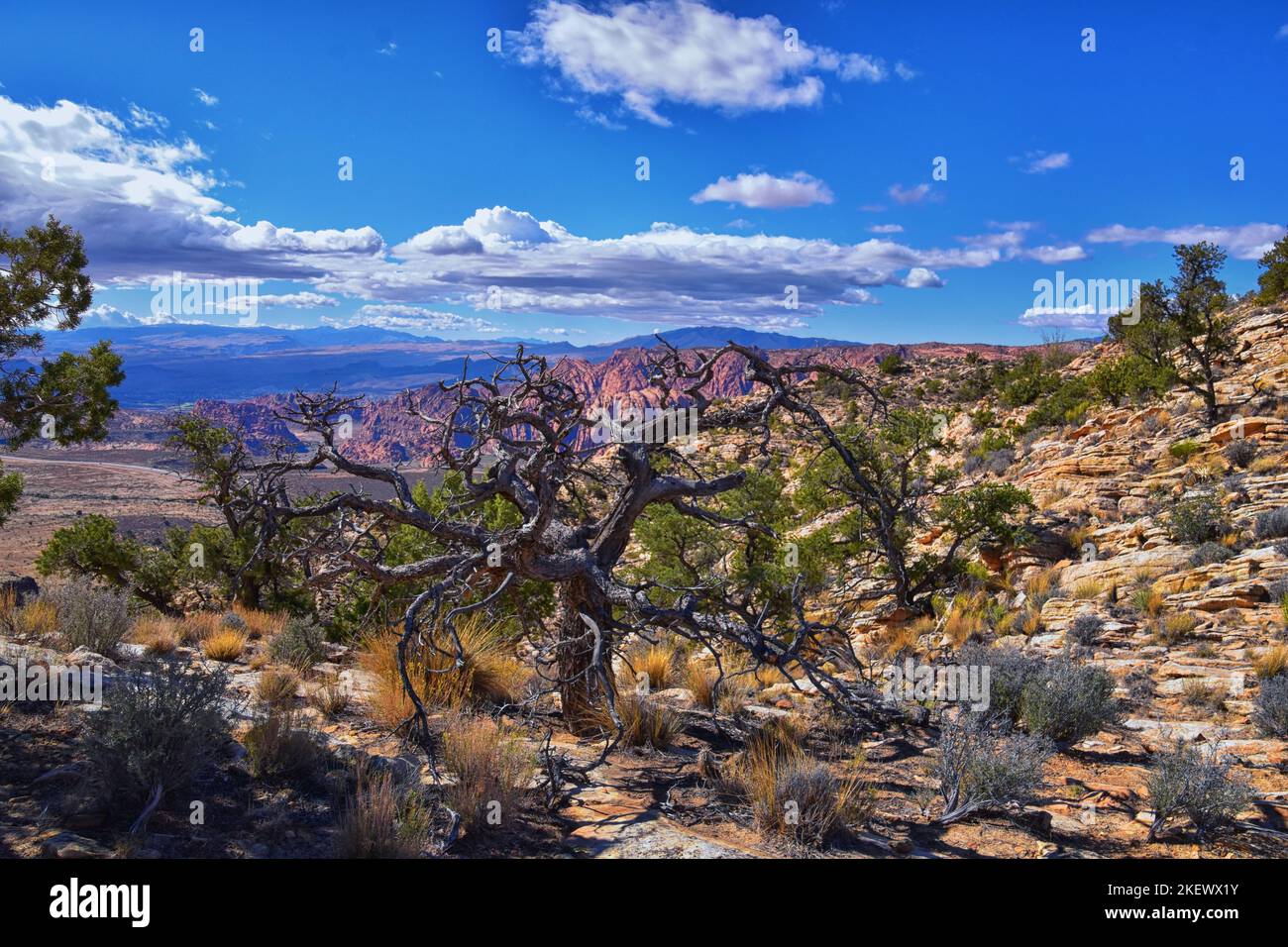 Snow Canyon Views from Jones Bones hiking trail St George Utah Zion’s ...