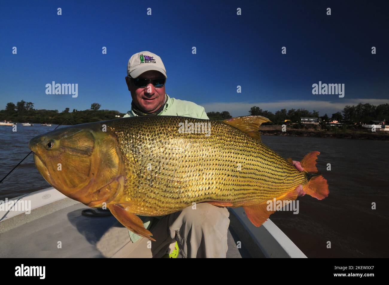 Golden Dorado River Monsters