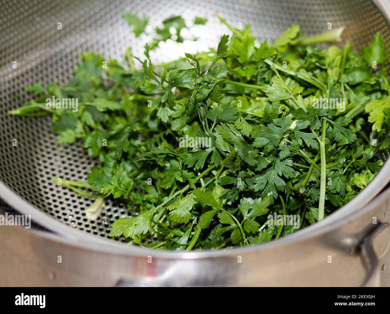 Parsley spice isolate hi-res stock photography and images - Alamy