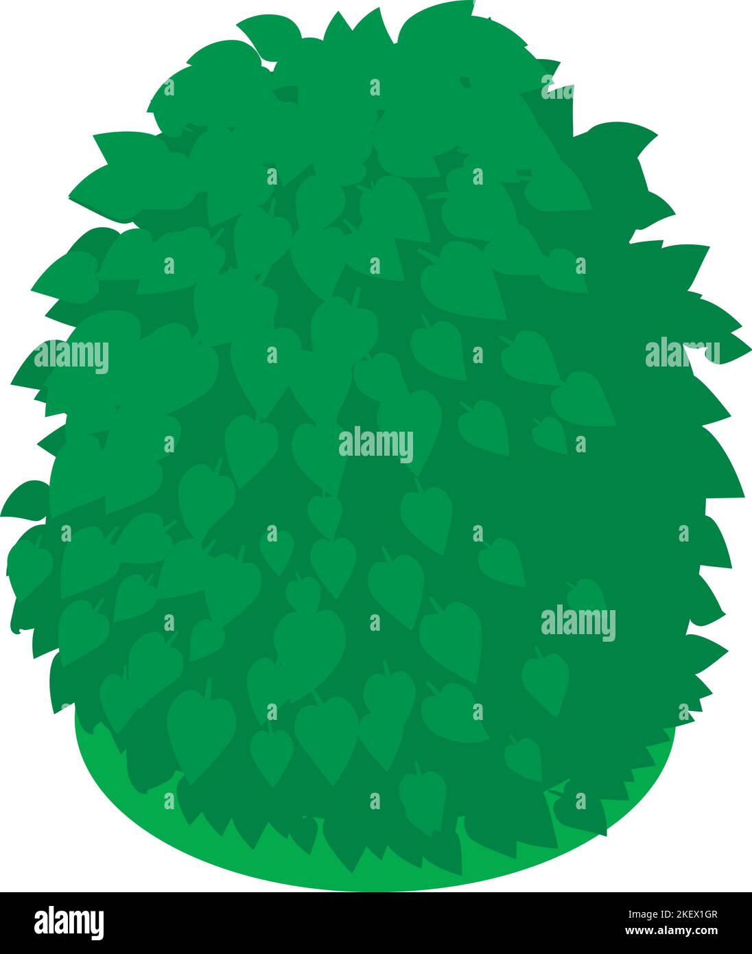 Green bush icon isometric vector. Natural green decorative shaped shrub ...