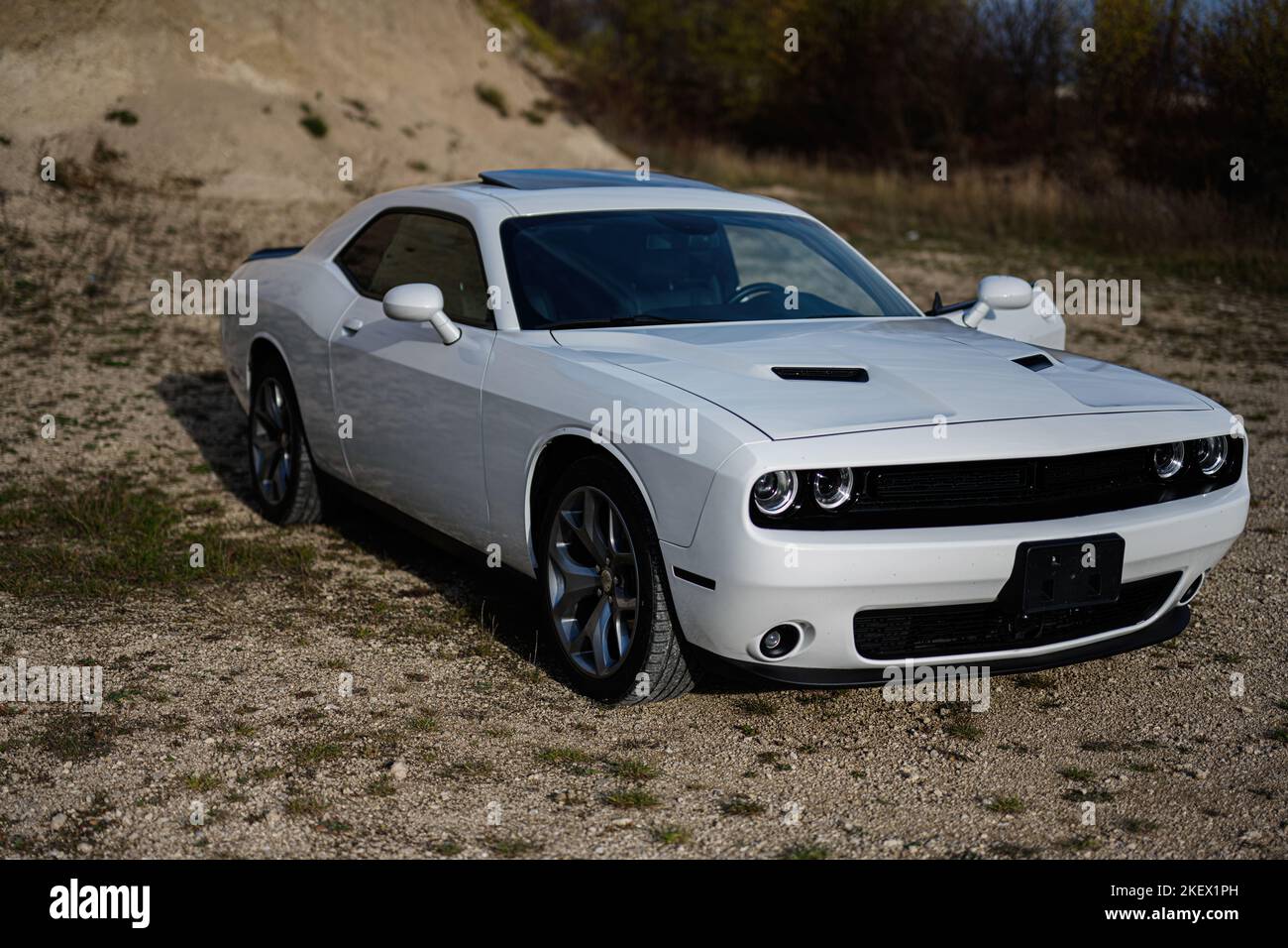 White powerfull american muscle car in career Stock Photo - Alamy