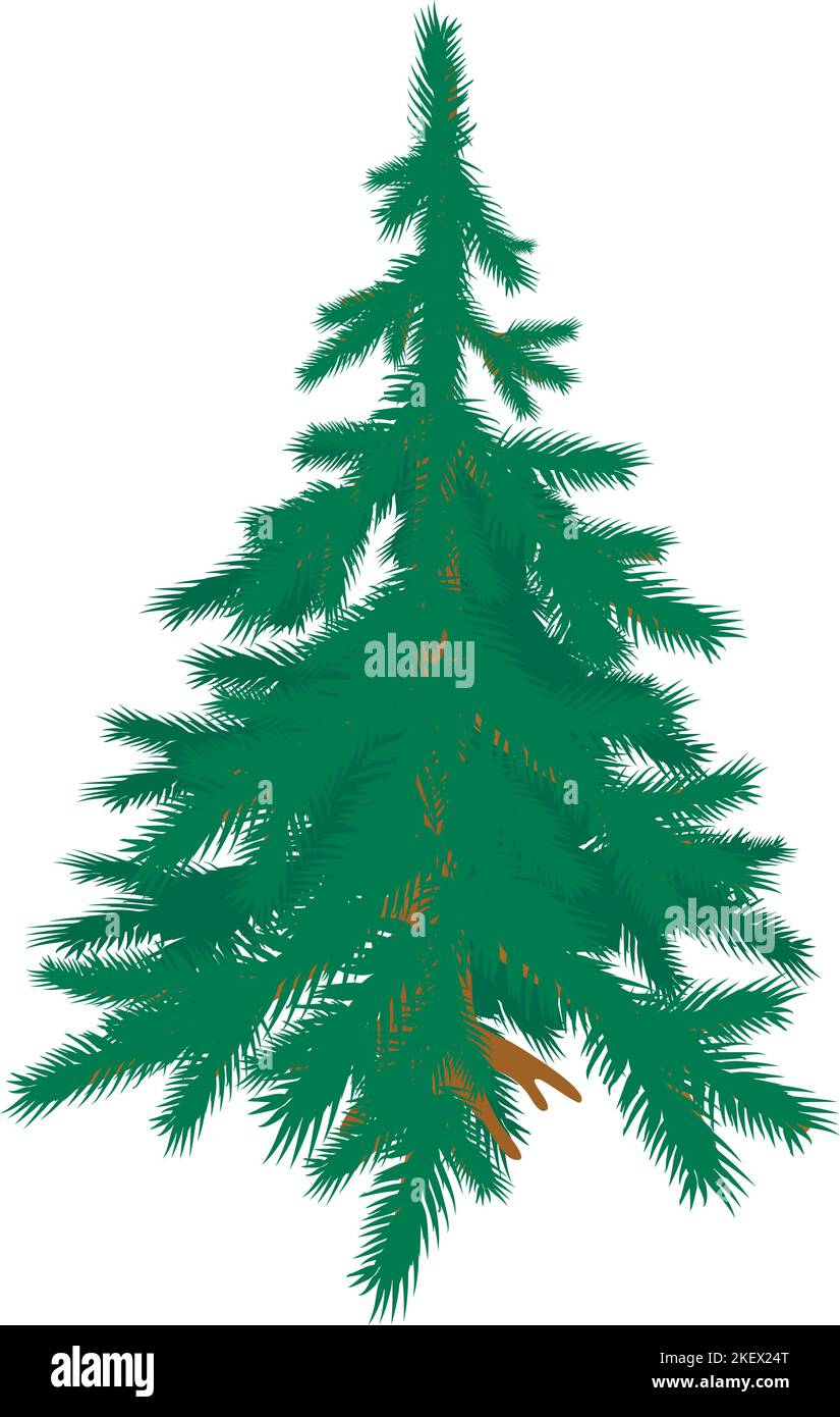 Blue Spruce Tree Clip Art