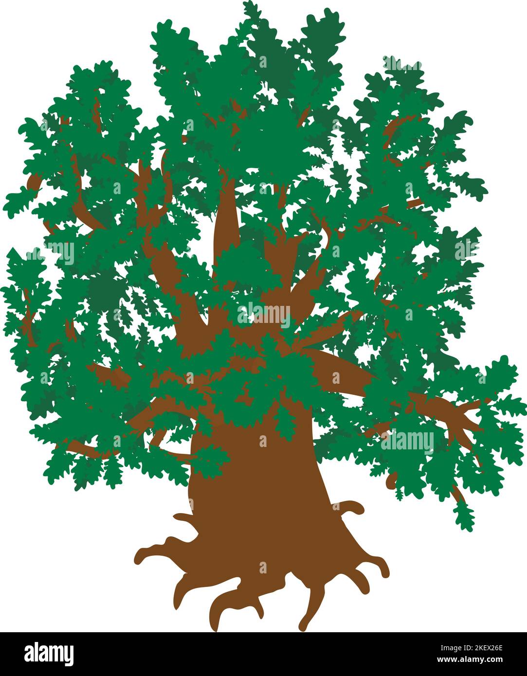 Green oak icon isometric vector. Old green freestanding deciduous tree ...