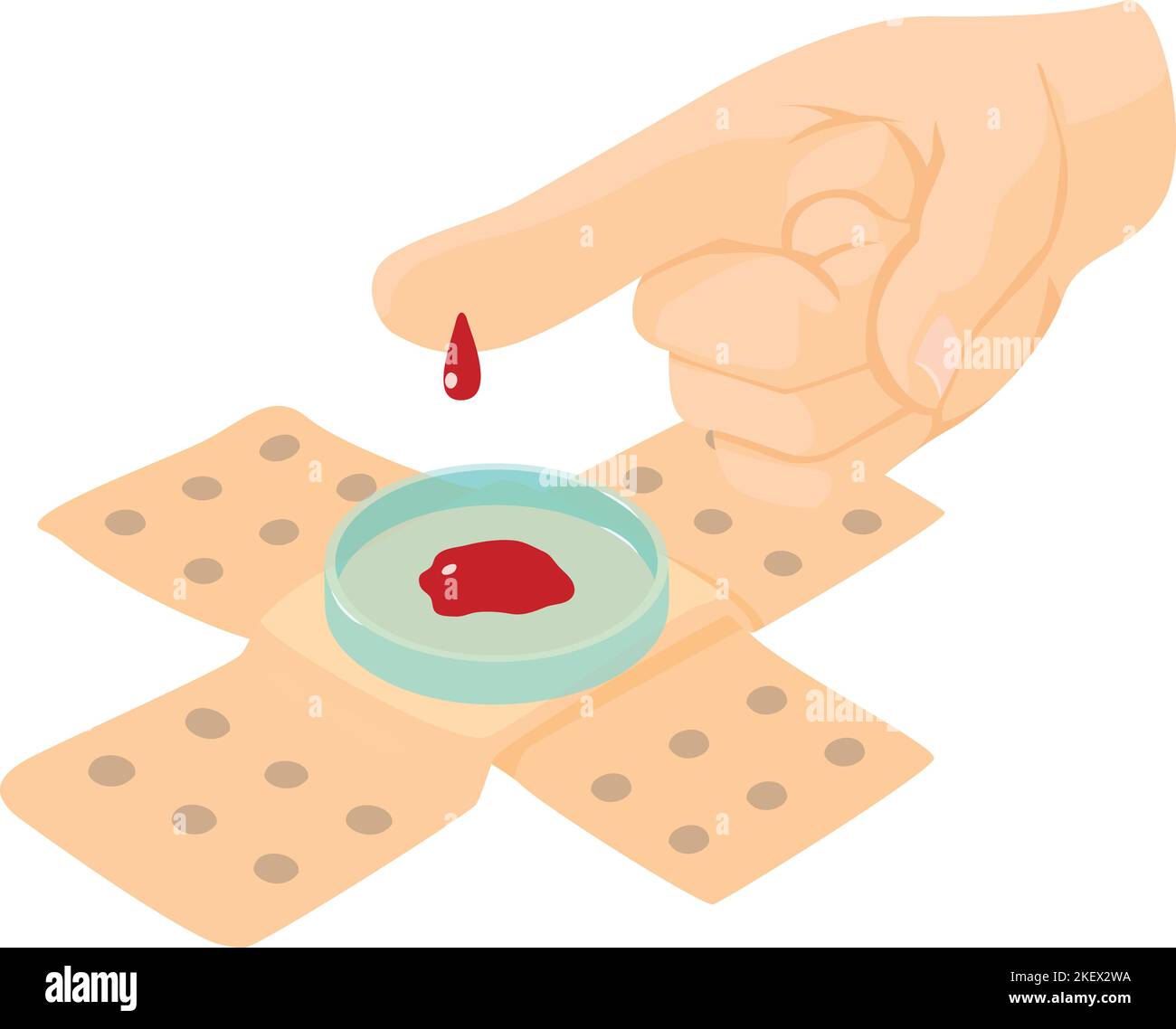 Blood analysis icon isometric vector. Finger with blood drop and petri ...