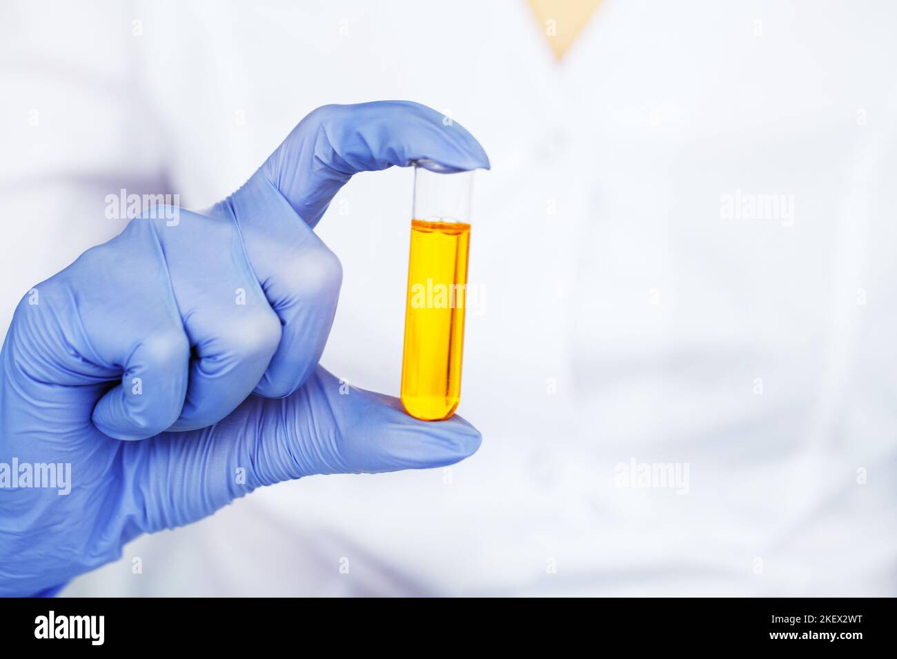 Scientist is Doing Her Research. Chemistry Experiment. Laborer Testing ...