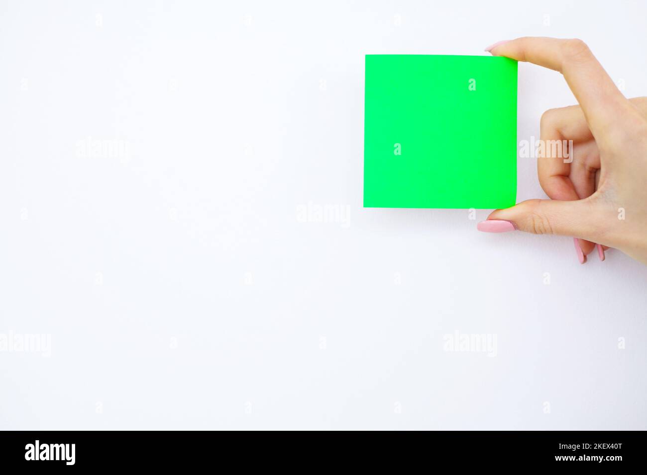 Blank Folder with Green Paper. Hand that Holding Folder and Pan Handle ...