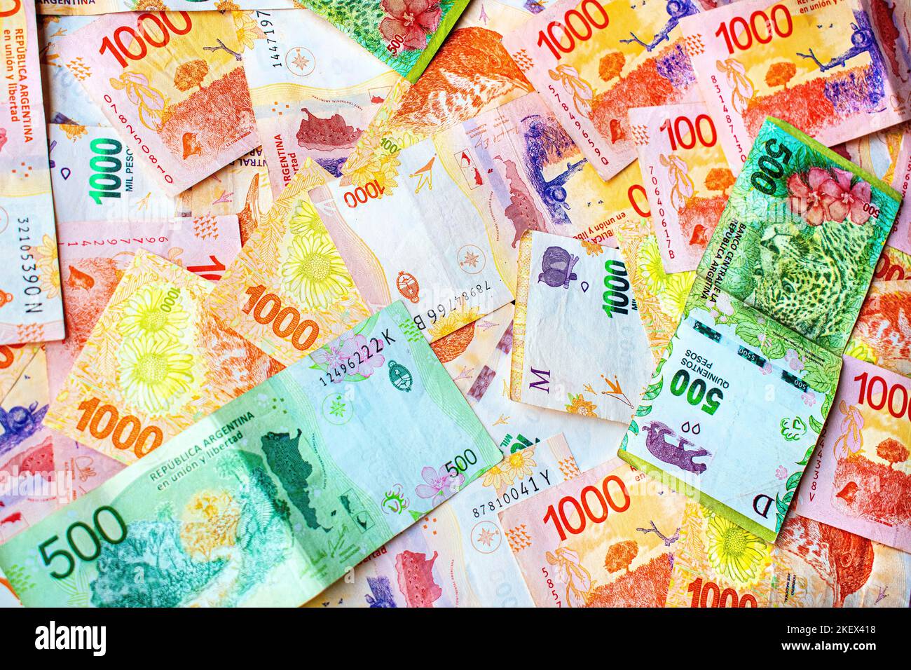 Argentine money. Banknotes of 500 and 1000 Argentine pesos in cash ...