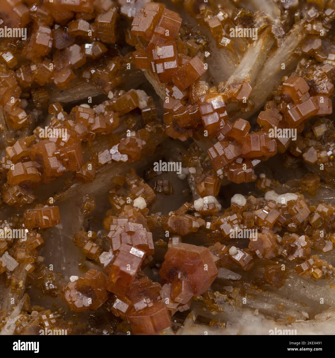 macro image of red vanadinite crystals Stock Photo - Alamy