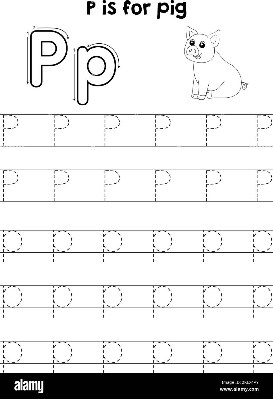 Pig Animal Tracing Letter ABC Coloring Page P Stock Vector Image & Art ...