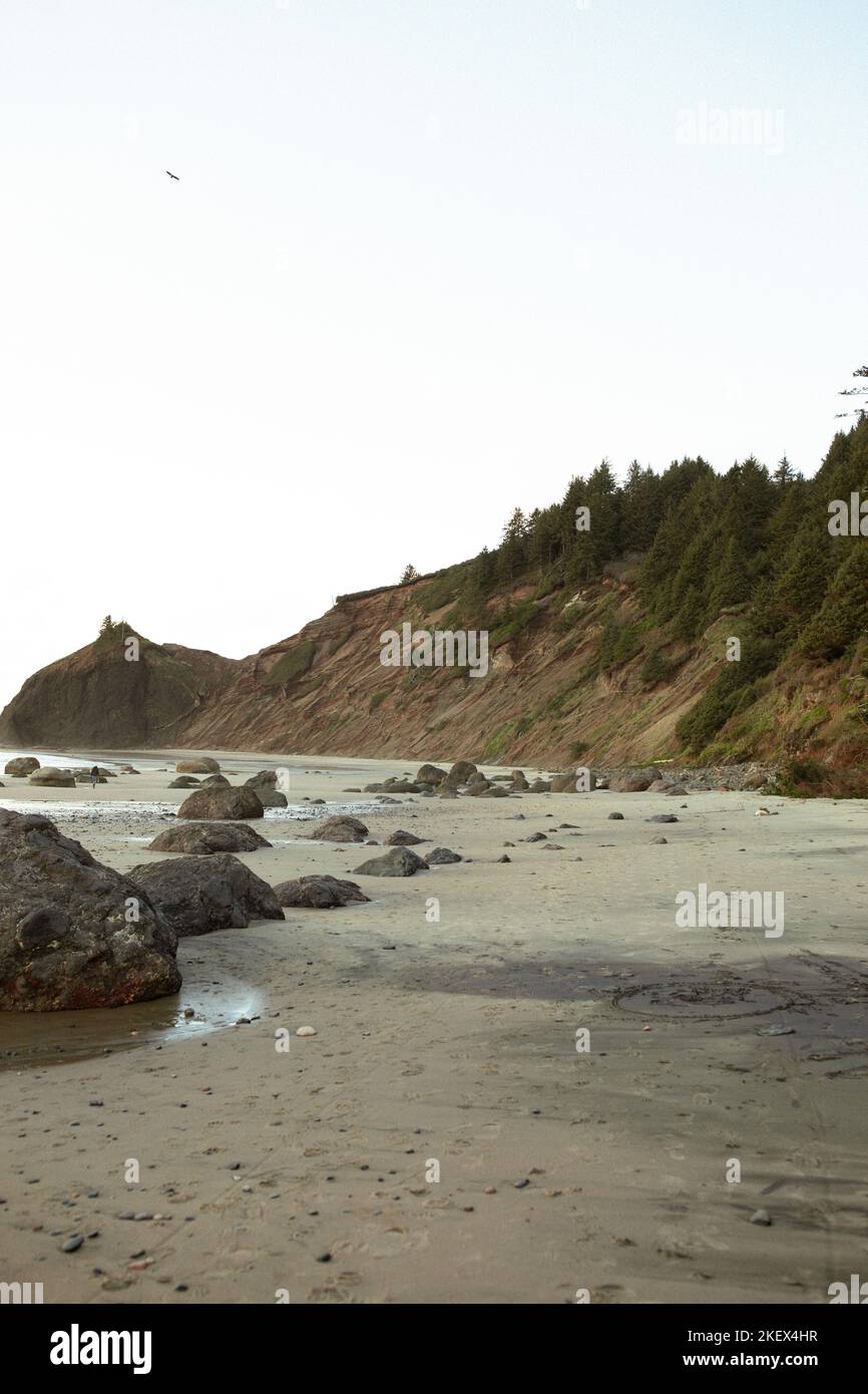 Oregon texture hi-res stock photography and images - Alamy