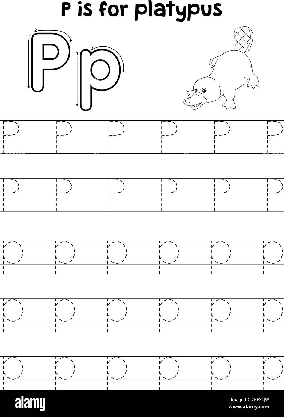 Platypus Animal Tracing Letter ABC Coloring P Stock Vector Image & Art ...