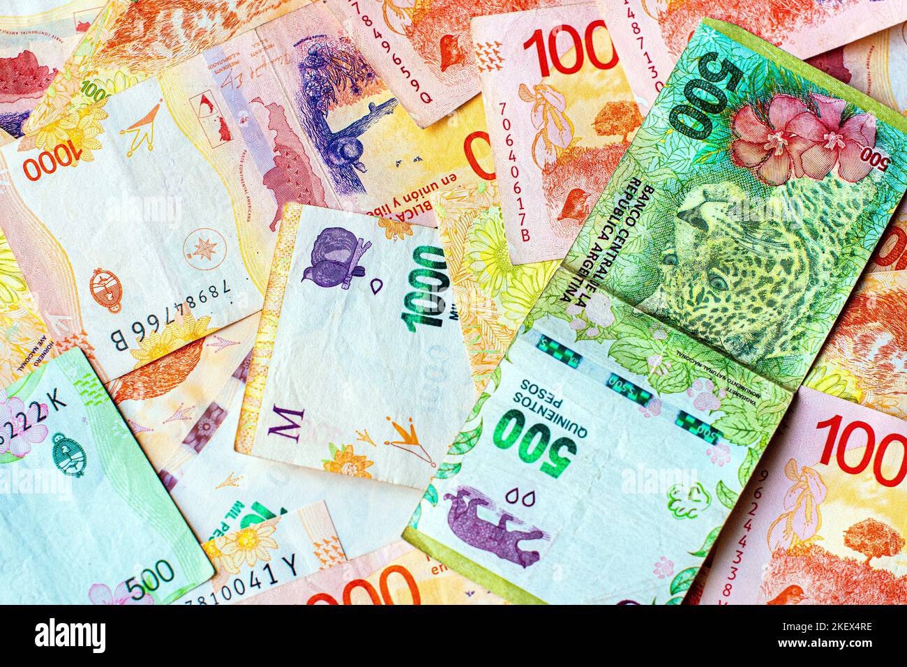Argentine money. Banknotes of 500 and 1000 Argentine pesos in cash ...