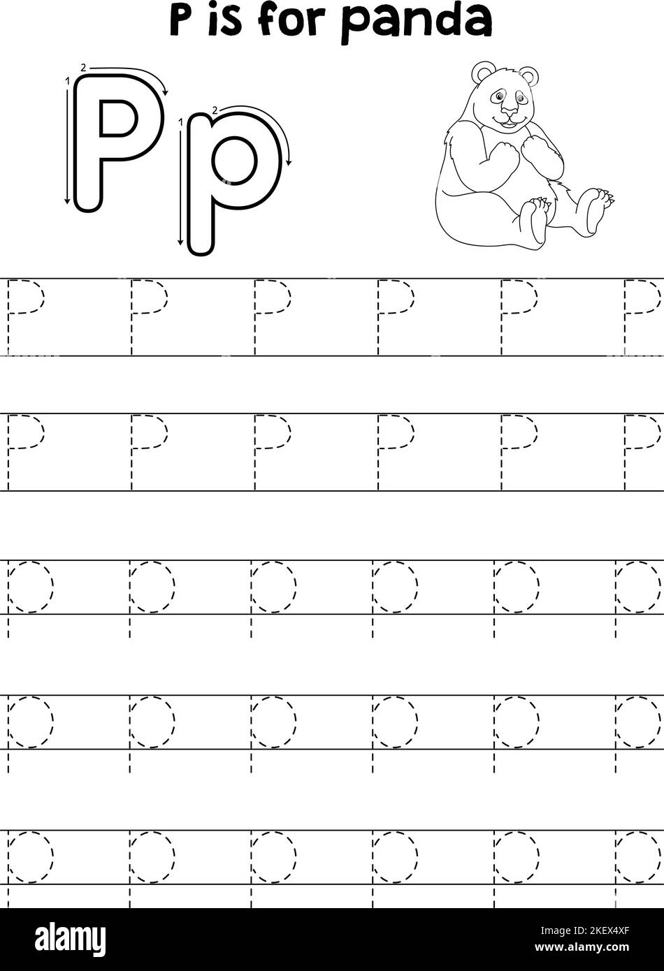 Panda Animal Tracing Letter ABC Coloring Page P Stock Vector Image ...