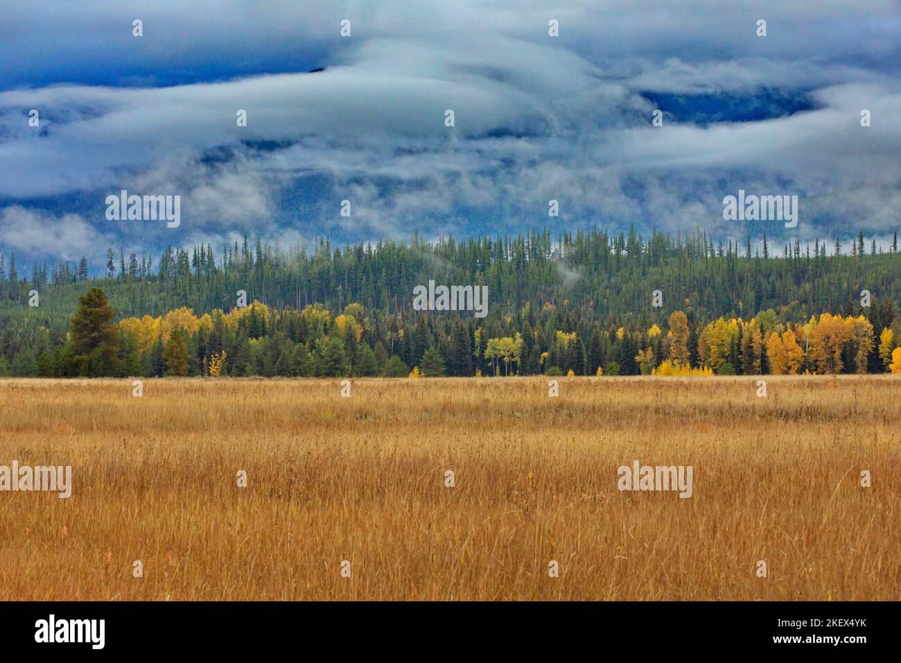 Autumn landscape of sky, trees, and grass along Kintla Lake Road, just ...