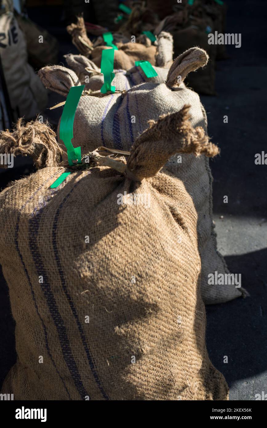 Copra hi-res stock photography and images - Alamy