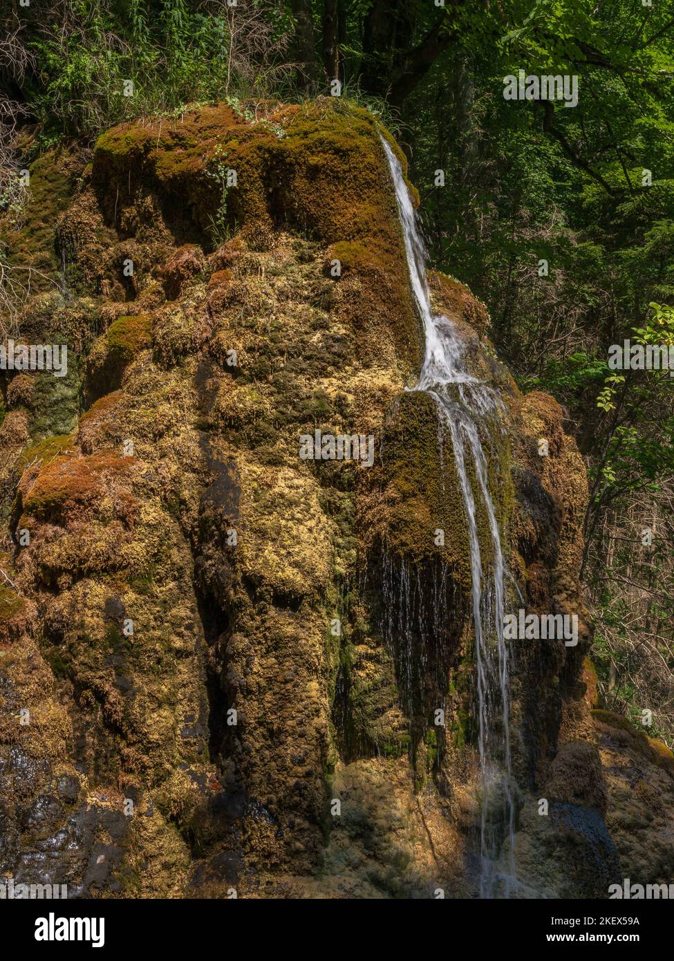 Scenic landscape view of waterfall on rock covered with moss in the ...
