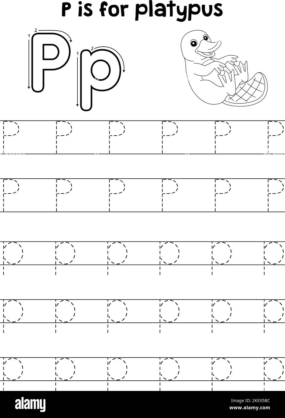 Platypus Animal Tracing Letter ABC Coloring P Stock Vector Image & Art ...