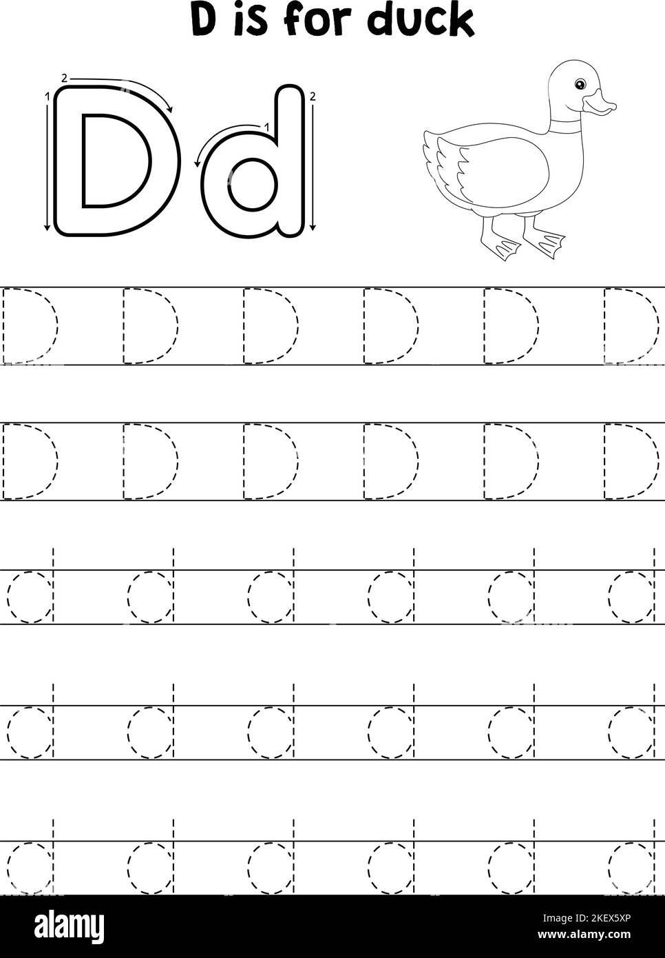 Hand drawn duck animal Stock Vector Images - Alamy