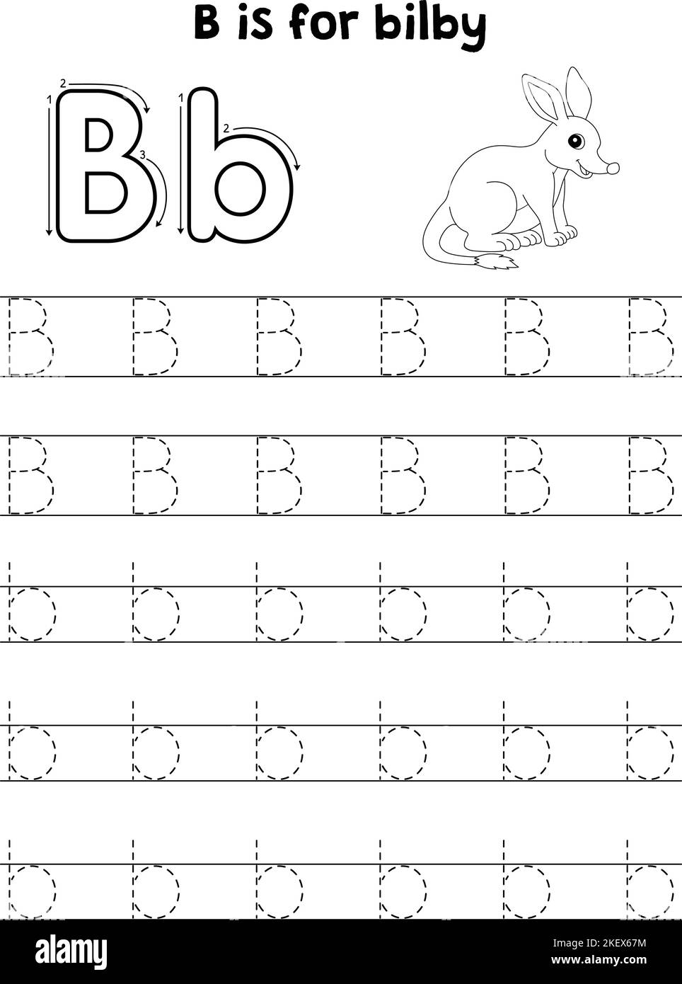 Bilbies Black and White Stock Photos & Images - Alamy