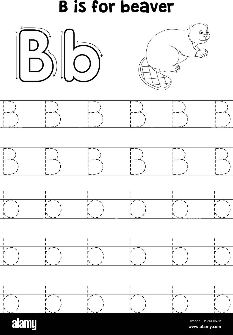 Beaver Animal Tracing Letter ABC Coloring Page B Stock Vector Image ...