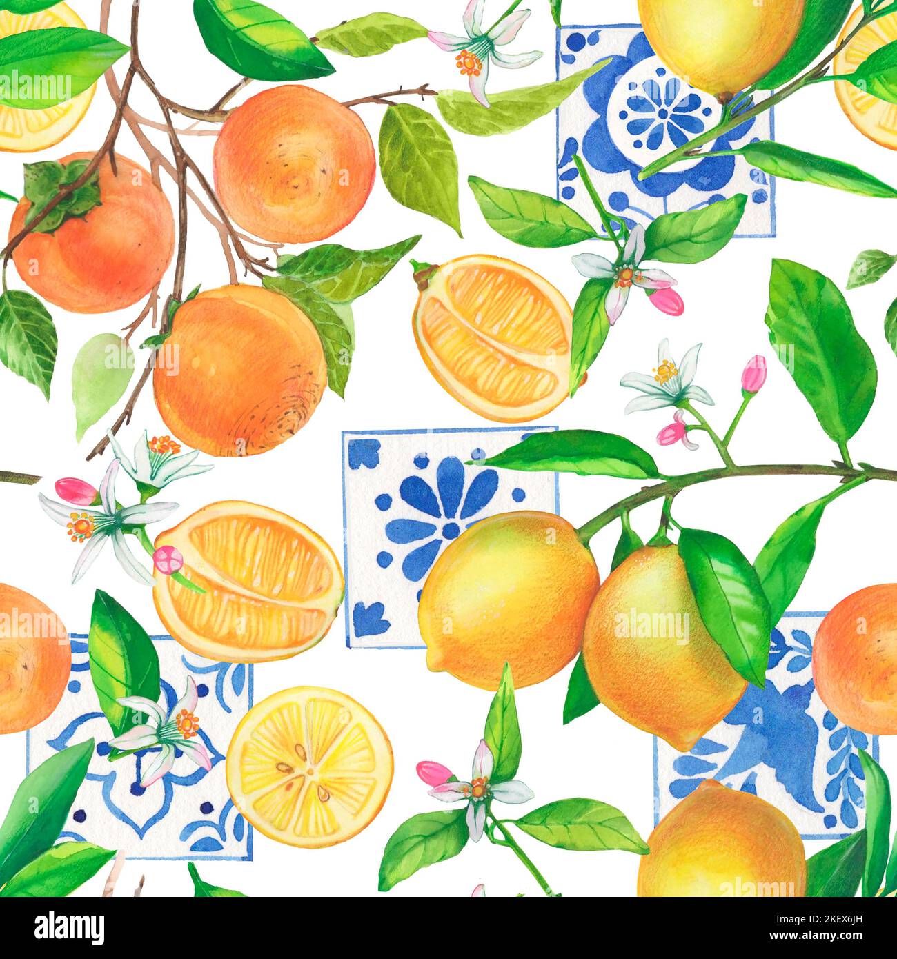Beautiful seamless pattern. Watercolor citrus hand drawn illustration ...