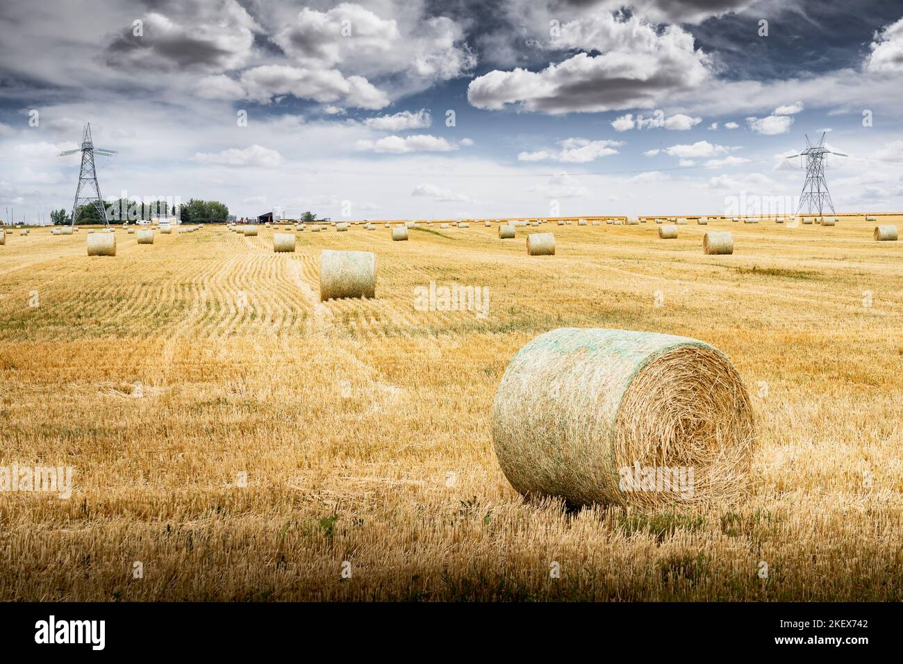 Round hay bales on a harvested prairie landscape with distant ...