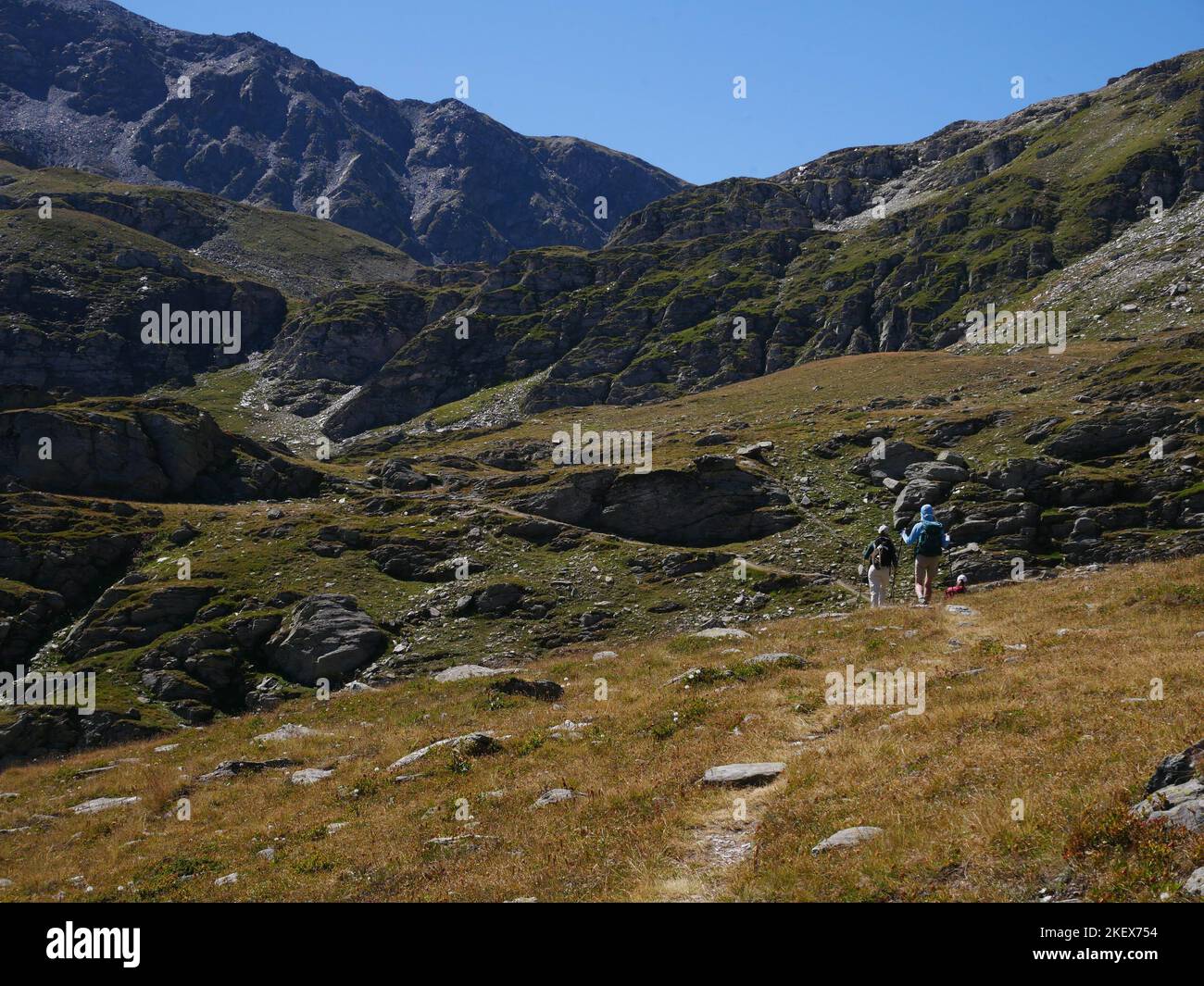 Landscape images and wild alpine flowers taken whilst walking on the ...