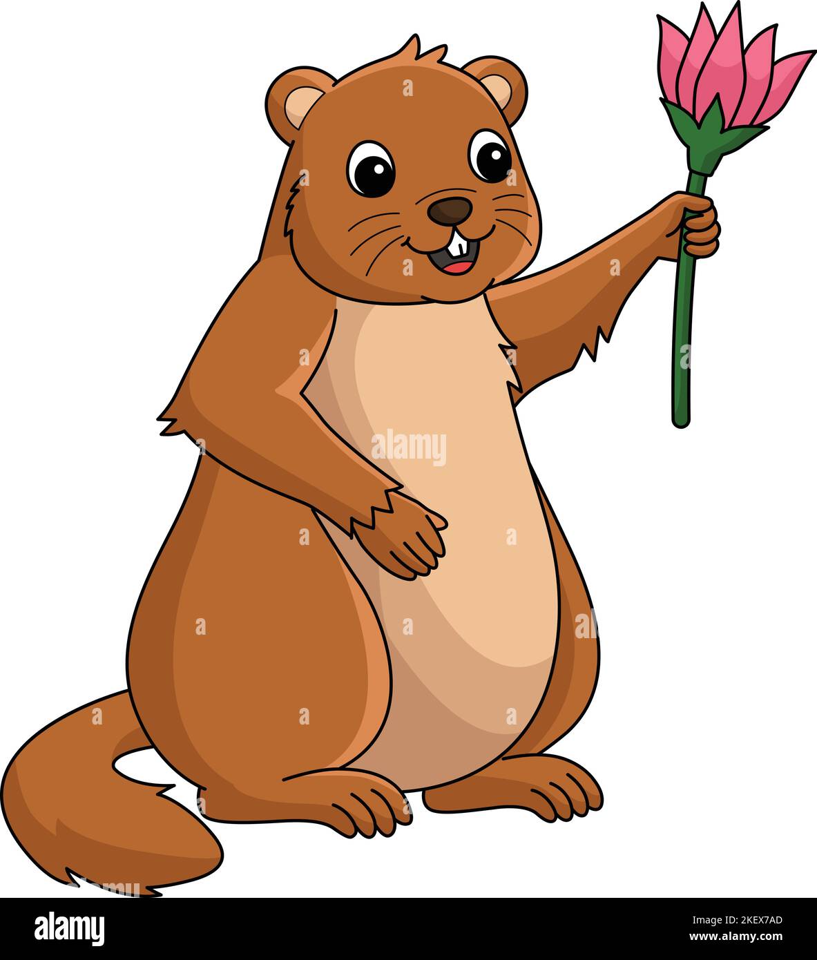 Groundhog Holding Flower Cartoon Colored Clipart Stock Vector Image ...