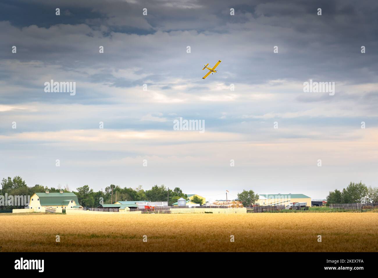 A crop duster flying over a rustic homestead after spraying a crop on ...