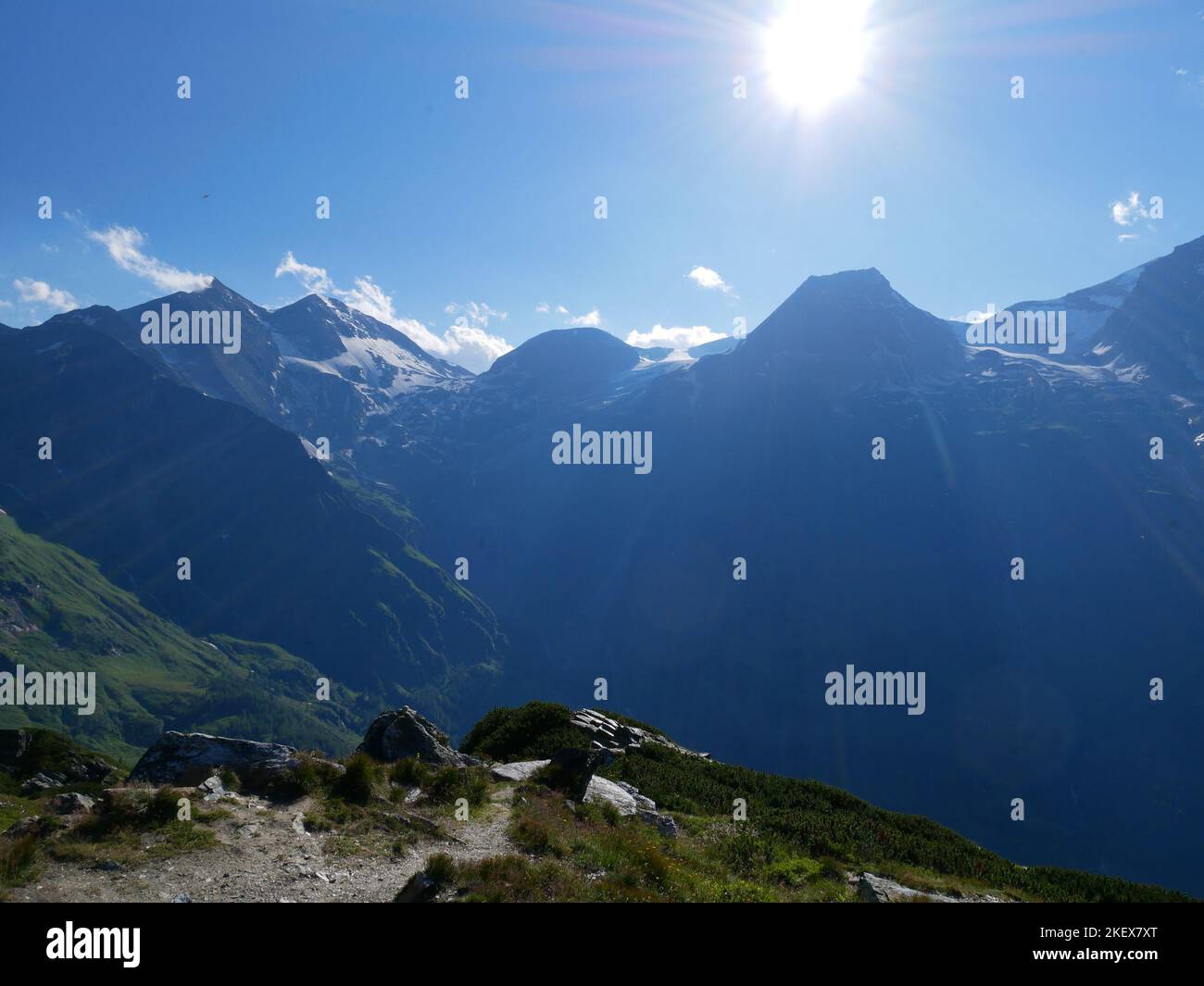 Landscape images and wild alpine flowers of the Hohe Tauern National ...