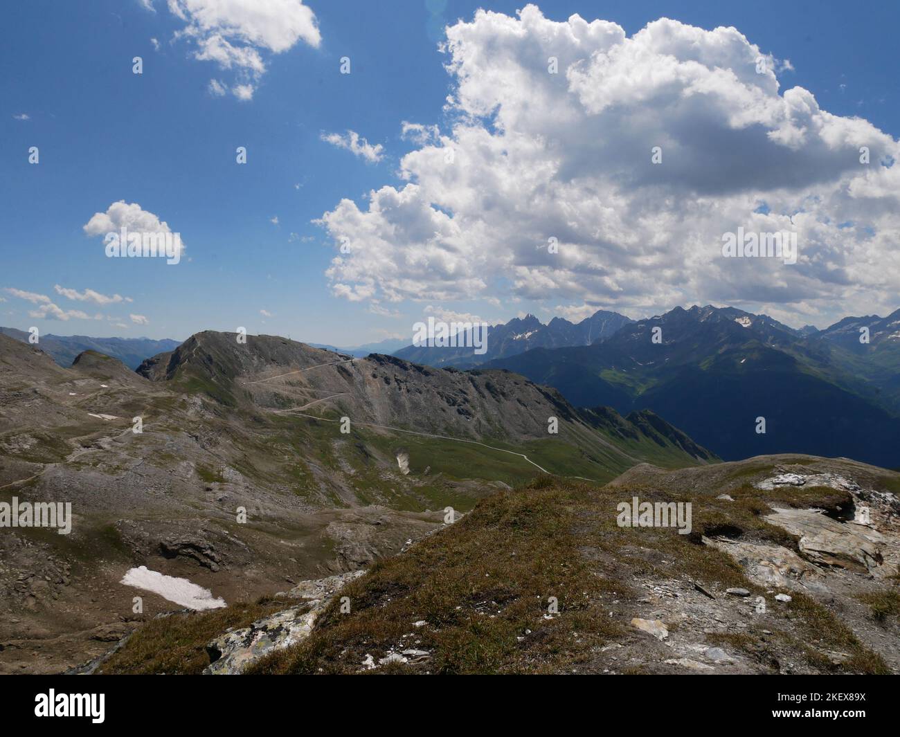 Landscape images and wild alpine flowers of the Hohe Tauern National ...