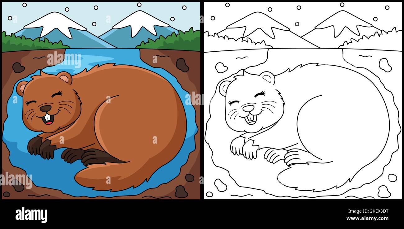 Groundhog Hibernating Coloring Page Illustration Stock Vector Image ...