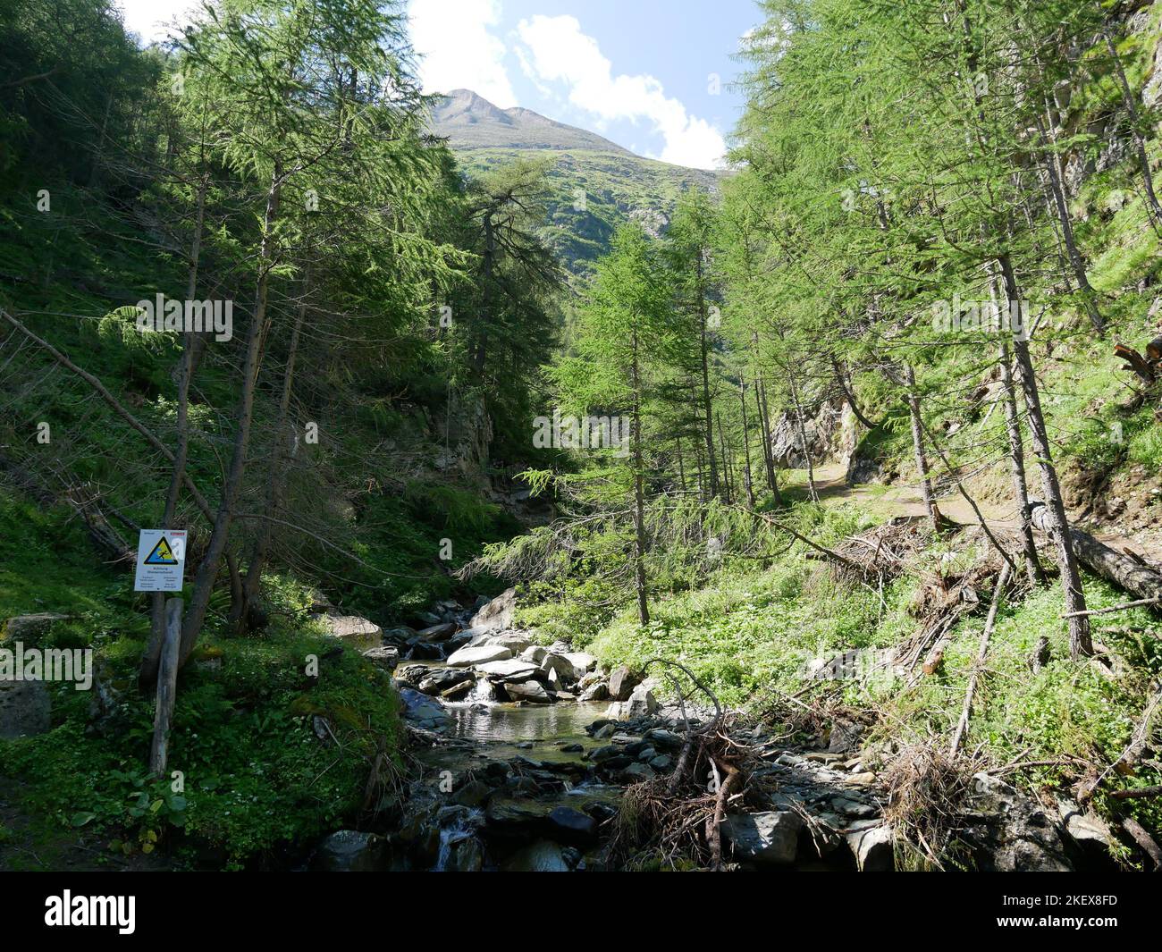Landscape images and wild alpine flowers of the Hohe Tauern National ...