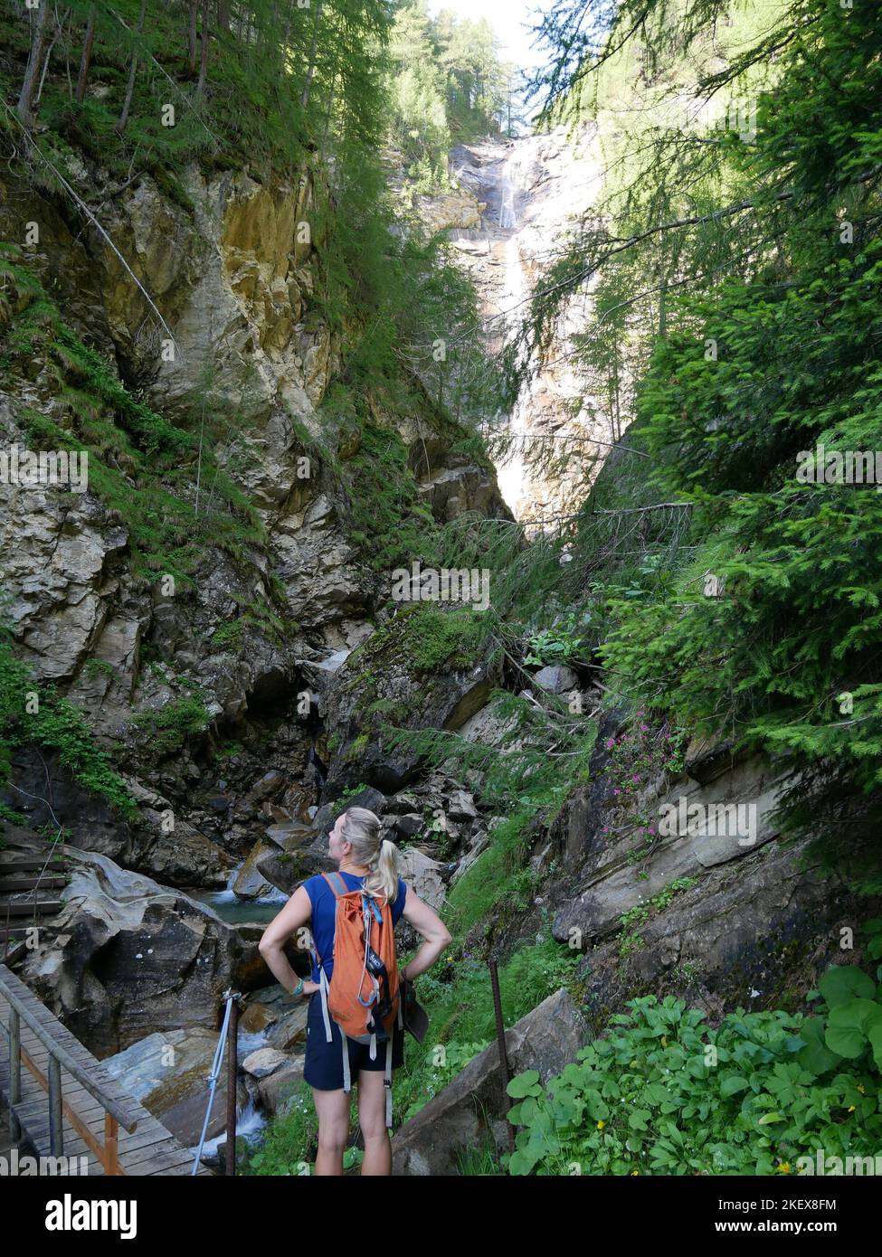 Landscape images and wild alpine flowers of the Hohe Tauern National ...
