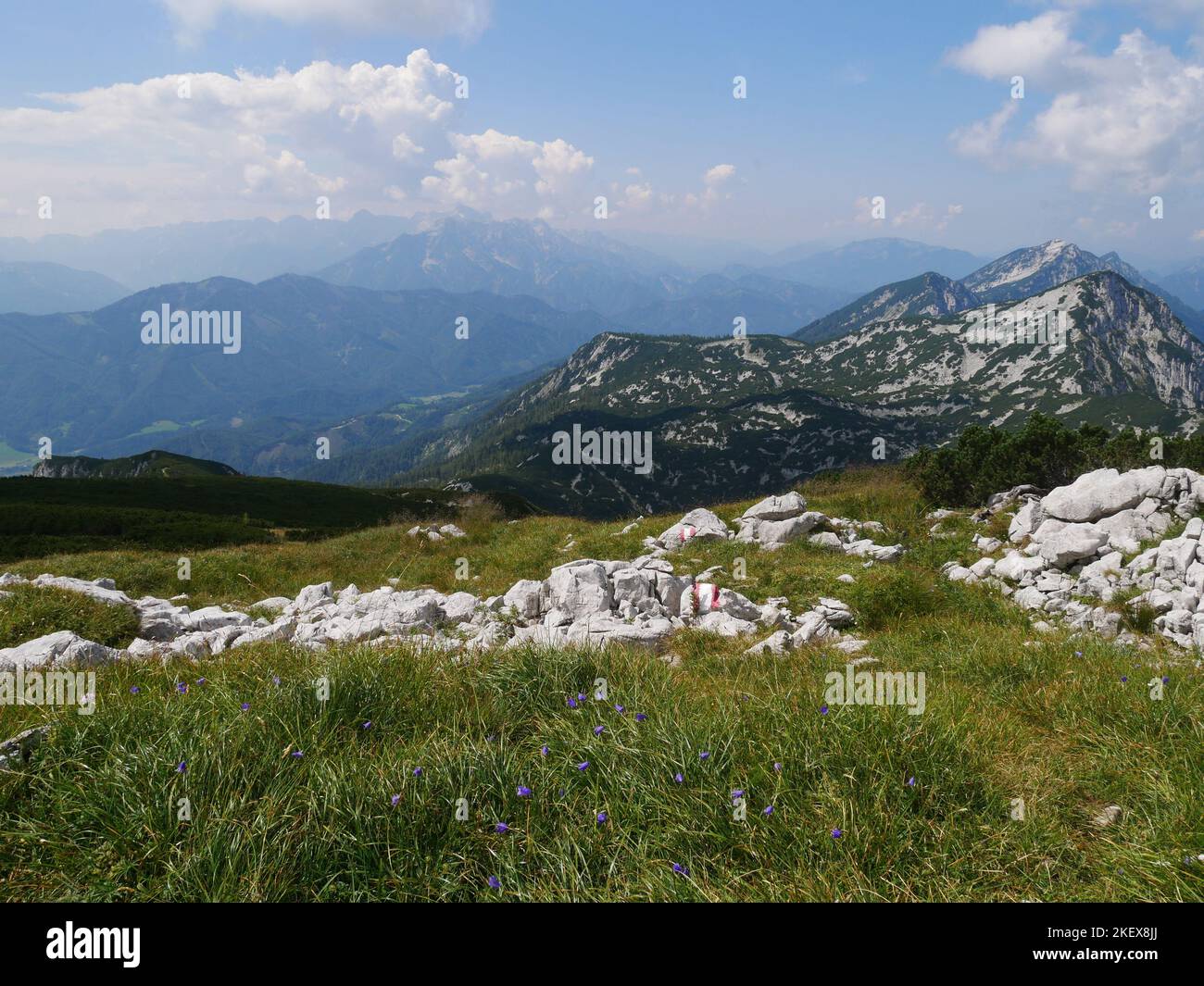 Landscape images and wild alpine flowers of the Kalkalpen National Park ...