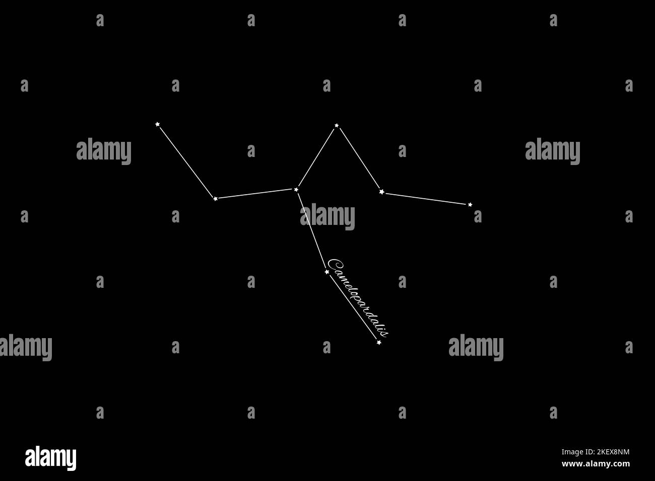 Camelopardalis constellation, Cluster of stars, Giraffe constellation ...