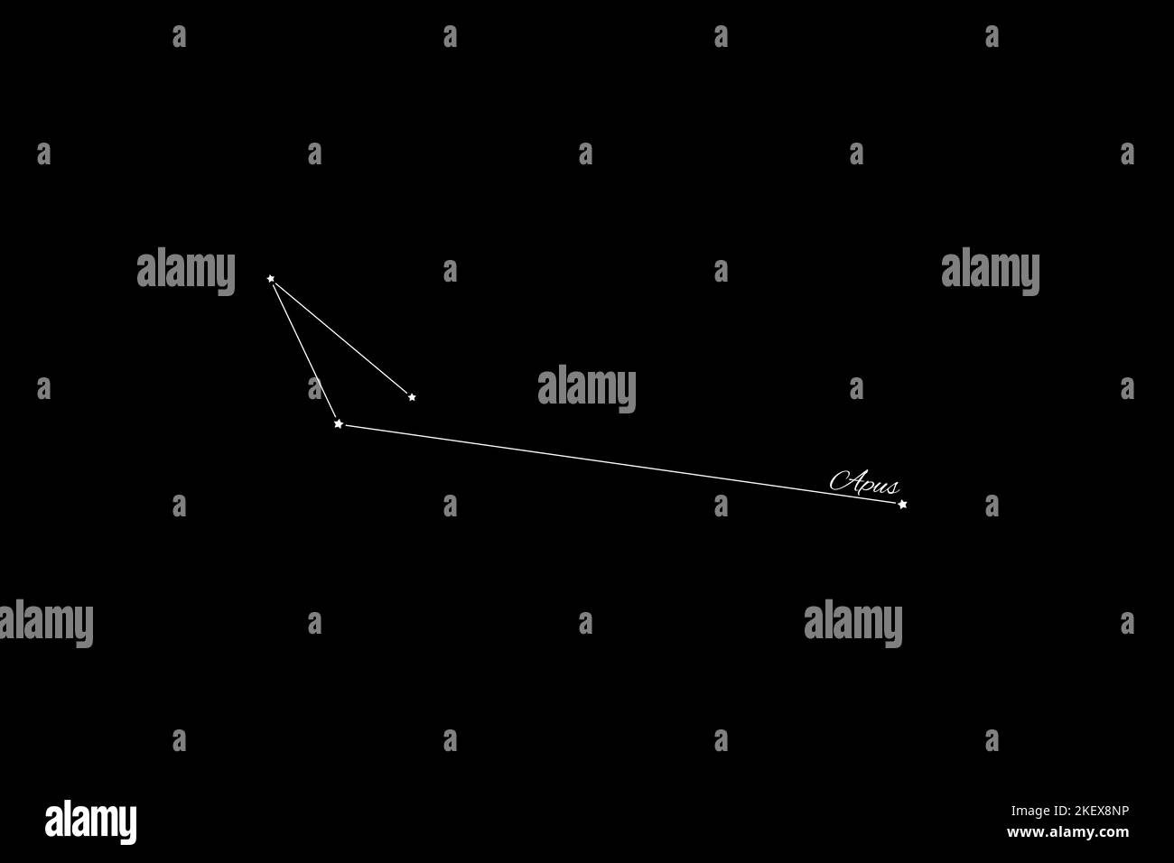 Apus constellation, Cluster of stars, Bird of Paradise constellation ...