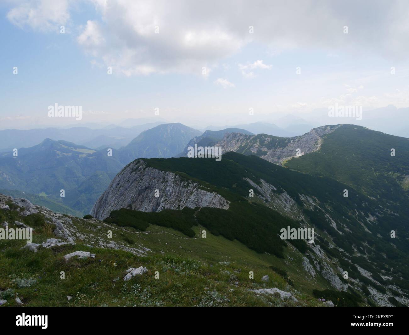 Landscape images and wild alpine flowers of the Kalkalpen National Park ...